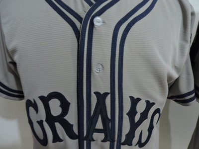 Men's USA Negro Leagues NLBM Homestead Grays #20 Josh Gibson Gray ...